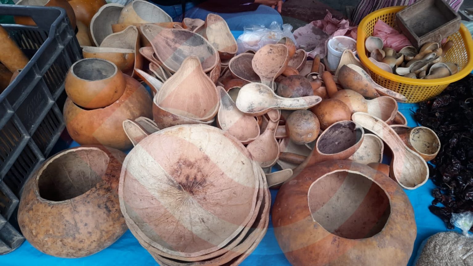 El guaje: Utensilio antiquísimo de actual uso cotidiano – Noticias de ...