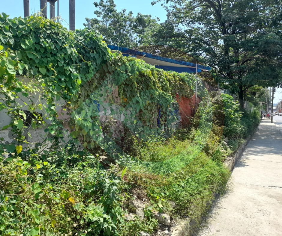 Después de dos años aún no se construye la barda perimetral de la ...