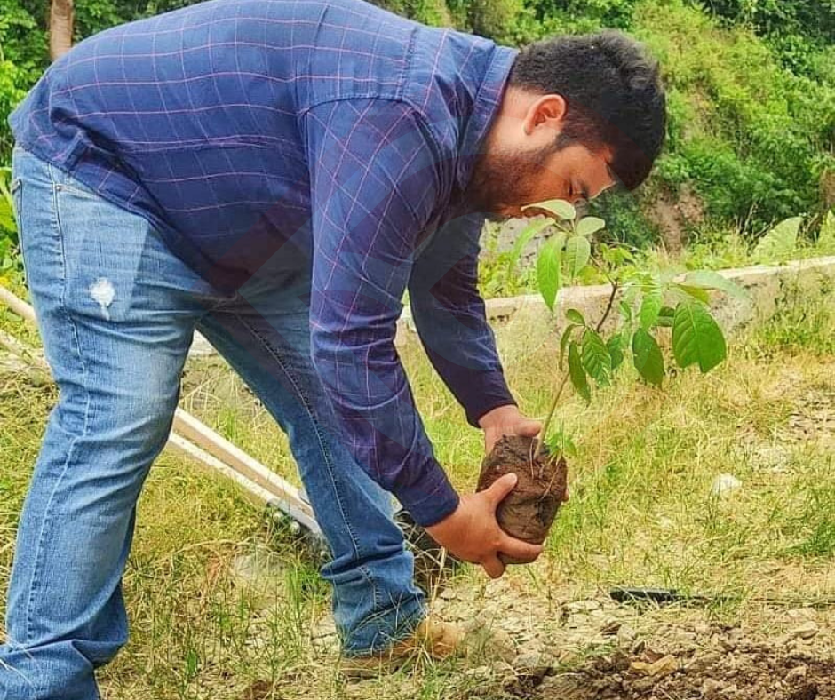 Importante comenzar a Reforestar el municipio – Noticias de Hidalgo ...