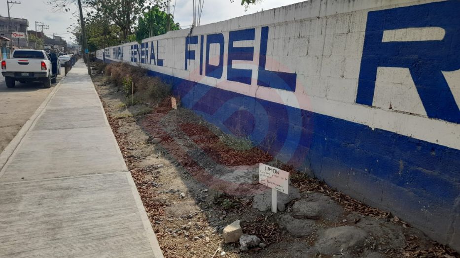 Alumnos de la Escuela Primaria “Fidel Rodríguez Morales” cristalizan ...